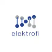 Elektrofi_null_亿欧数据