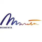 Discover Momenta- - 亿欧网